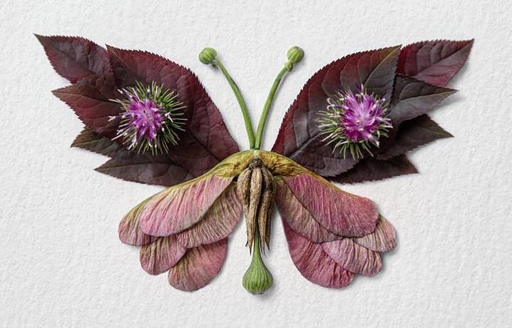 Beautiful Bugs Made of Flowers | Raku Inoue | BeautifulNow