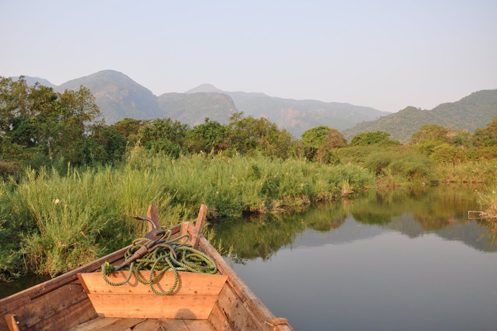 Beautiful Chimp Family Vacation | Mahale Greystoke | BeautifulNow