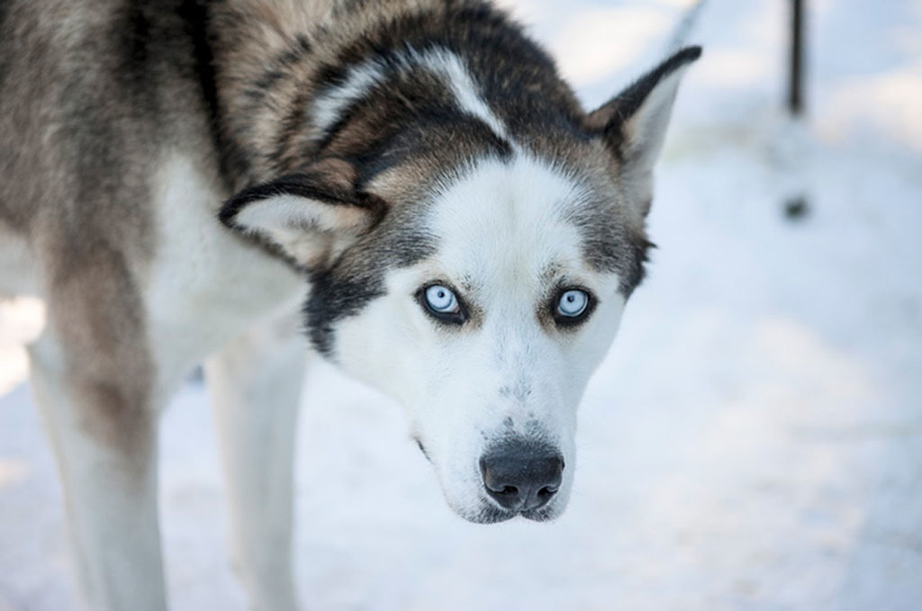 The Amazing Art of US National Parks | BeautifulNow